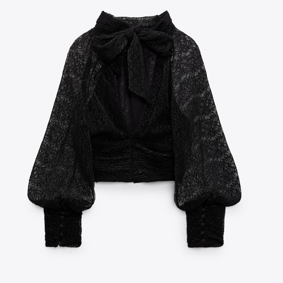 Zara | Tops | Zara Sheer Lace Top | Poshmark